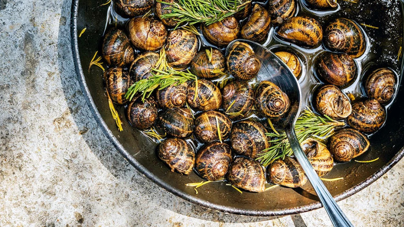 ლოკოკინების ფერმის მფლობელი და მწარმოებელი „ნადი ჯგუფი“ საექსპორტო ...